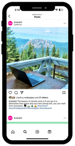 Brainjolt Media - Brainjolt