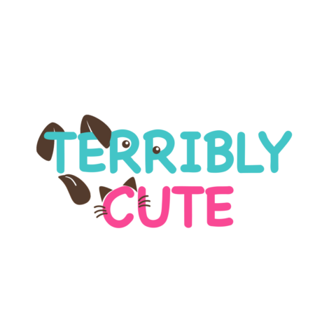 Brainjolt Media - Brainjolt